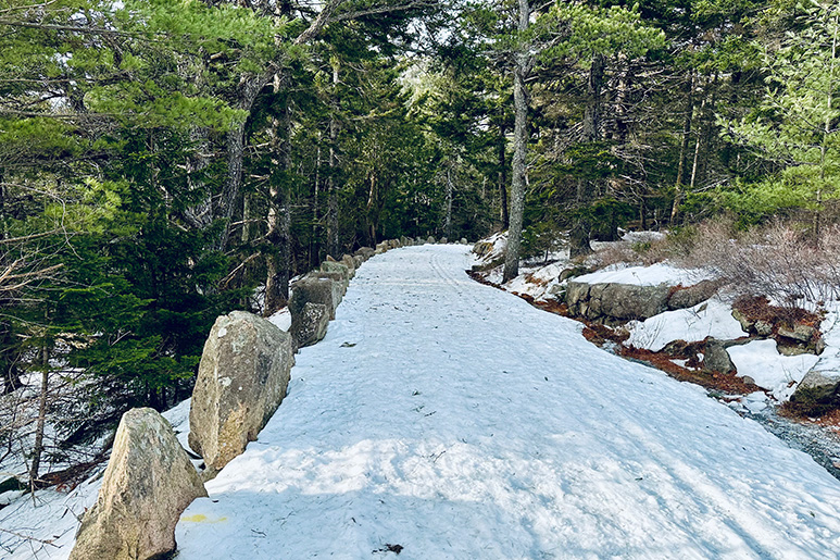 Best Time To Visit Acadia National Park: Your Detailed Guide