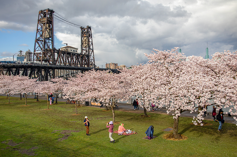 Portland, Oregon, in Spring: 8 Great Things to See and Do