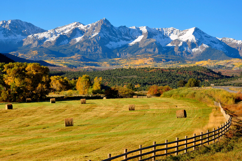 Plan Ahead: Best Time To Visit Denver Each Season