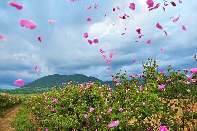 10 Bucket List Things To Do In Bulgaria You Can't Miss
