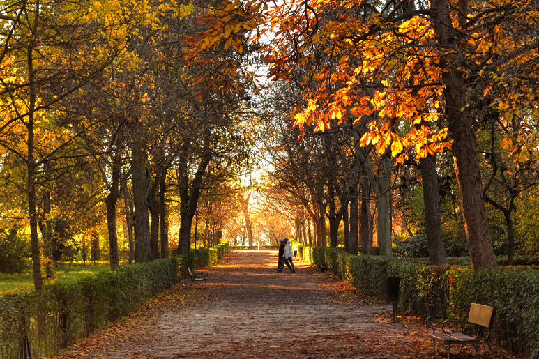 Madrid in November: What To See and Do
