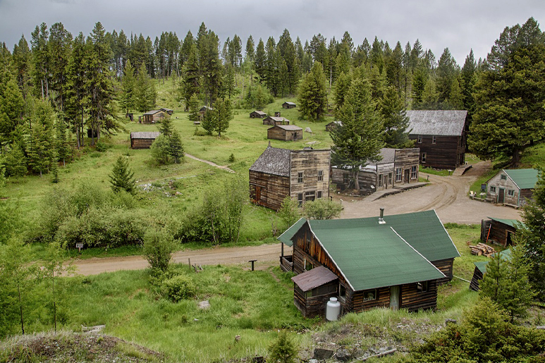 Spring in Montana: What To See and Do