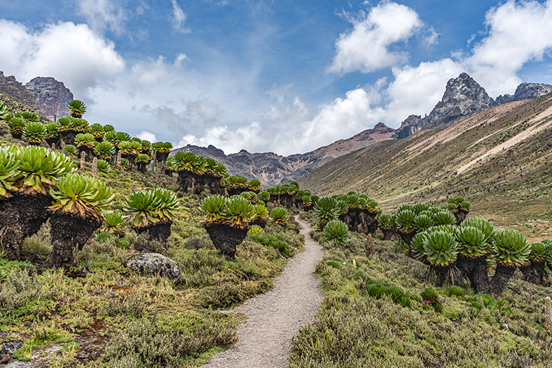 12 Spectacular Bucket-List Things To Do In Kenya