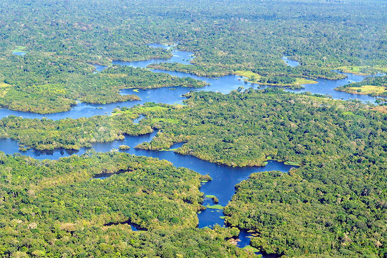 11 Best National Parks in Brazil for Nature Lovers