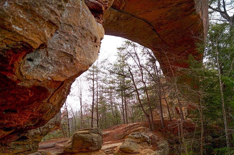 Winter in Kentucky: 9 Unmissable Things To Do and See