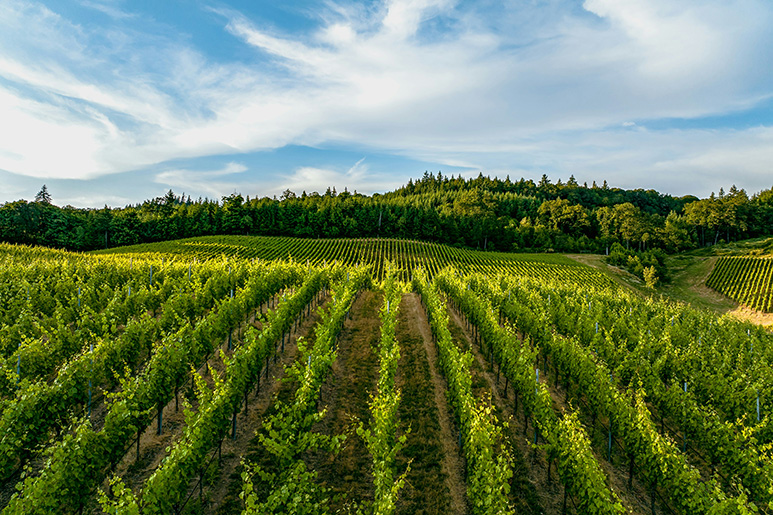 Summer in Oregon: Best Things to See and Do