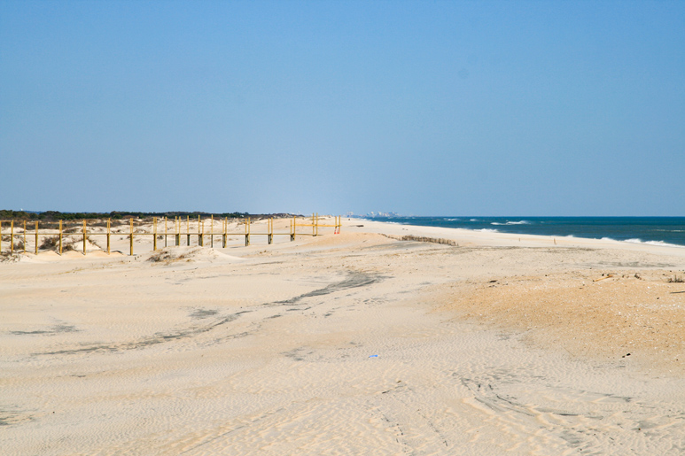 Spring in Maryland: 8 top things to do and see