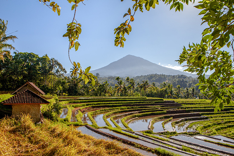 The Best Time To Visit Indonesia: A Month-By-Month Guide