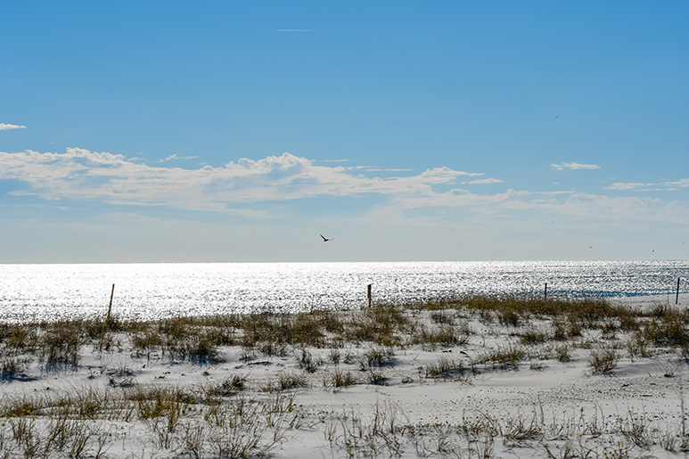 Winter in Alabama: The 8 Best Places To Visit