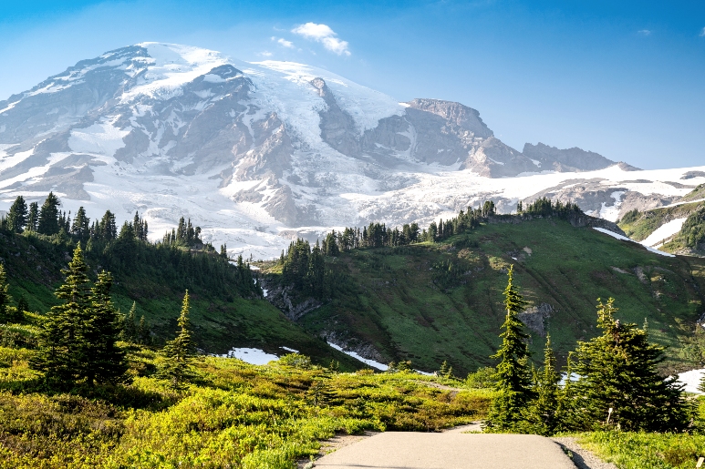 Summer in Washington: 8 Best Places to Visit