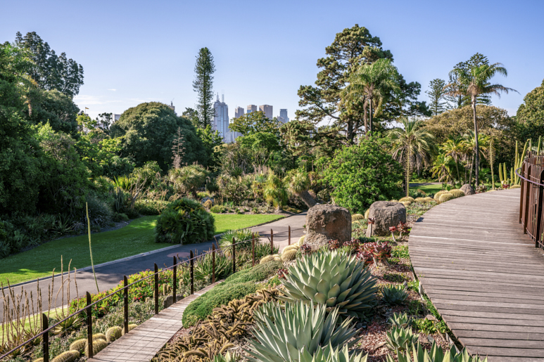 Melbourne in Spring: 8 Great Things To See and Do