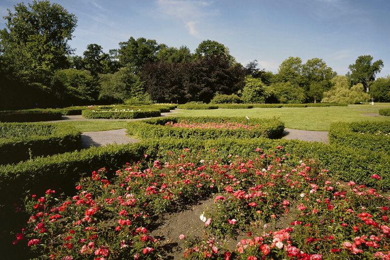 10 Best Gardens in Amsterdam for Nature & Tranquility