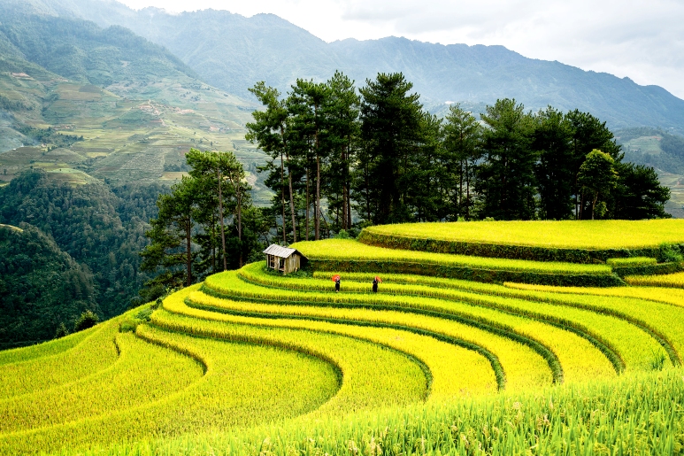How To Travel to Vietnam on a Budget: 10 Money-Saving Tips