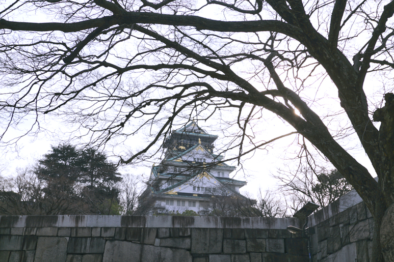 Osaka in Winter: What To See and Do