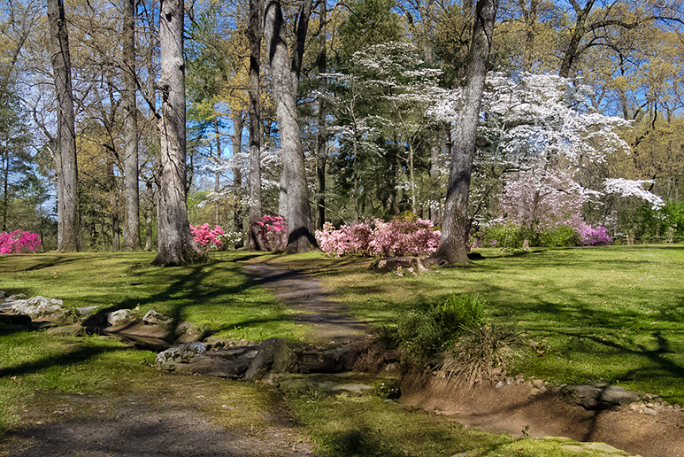 8 Epic Things To Do During Spring In Tennessee
