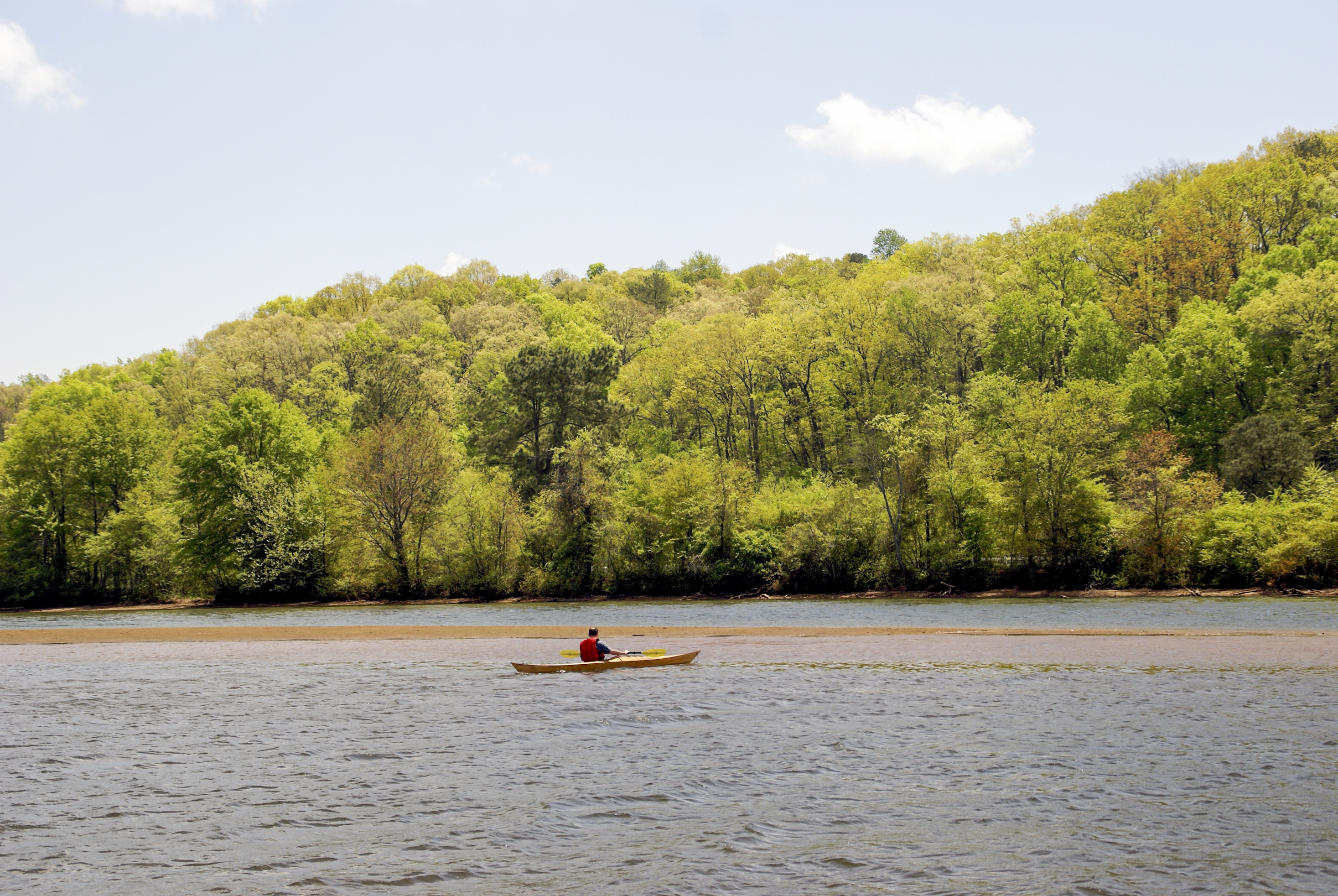 14 Fun and Unique Things to Do in Atlanta