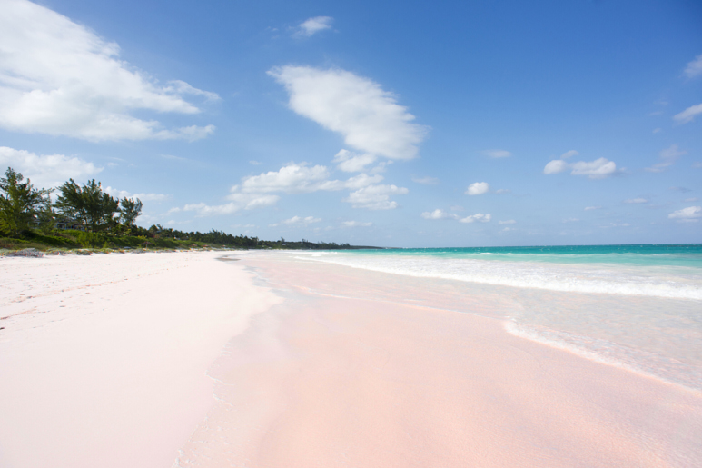 Best Beaches in the Caribbean: 8 Beautiful Spots
