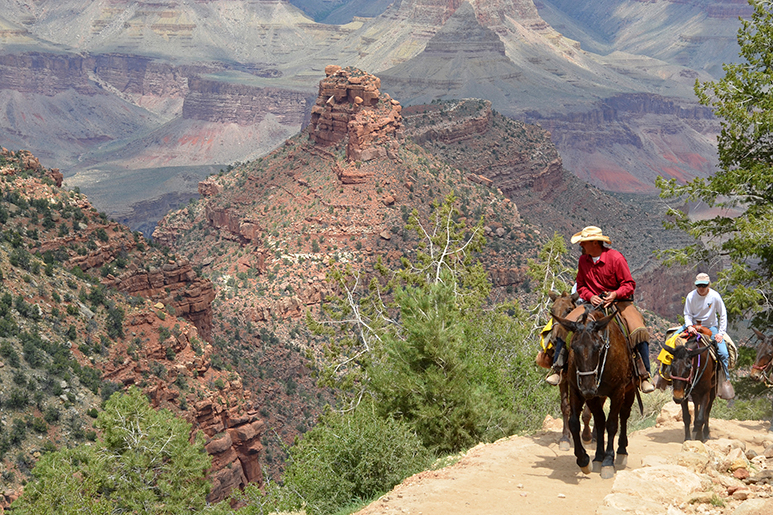 A Grand Canyon Nemzeti Park meglátogatásának legjobb ideje