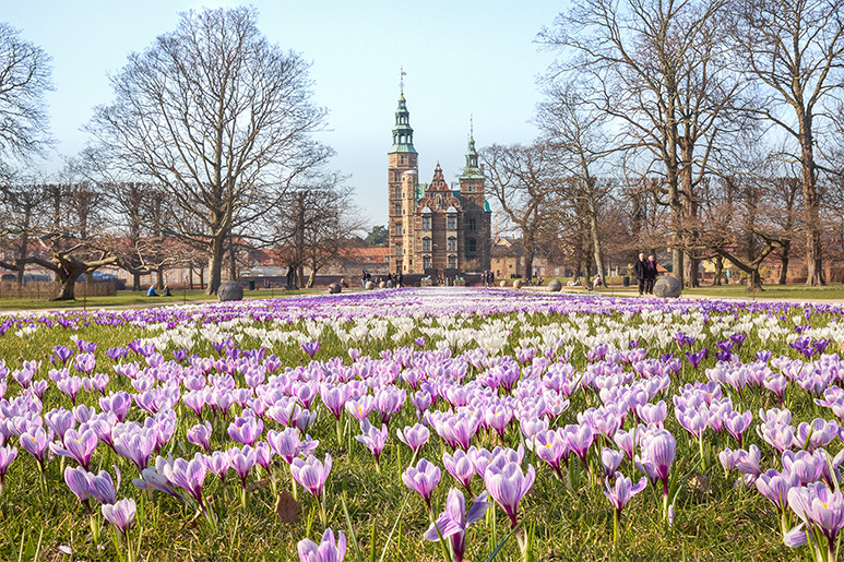 Visiting Copenhagen in March: What To See and Do