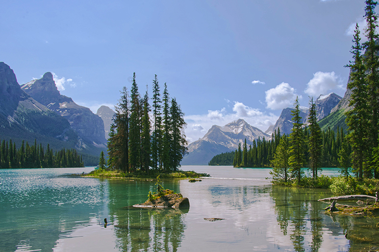 Best Time To Visit Jasper National Park: Your Detailed Guide