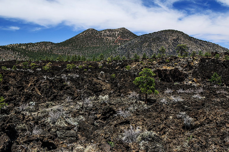 10 Best National Parks in Arizona