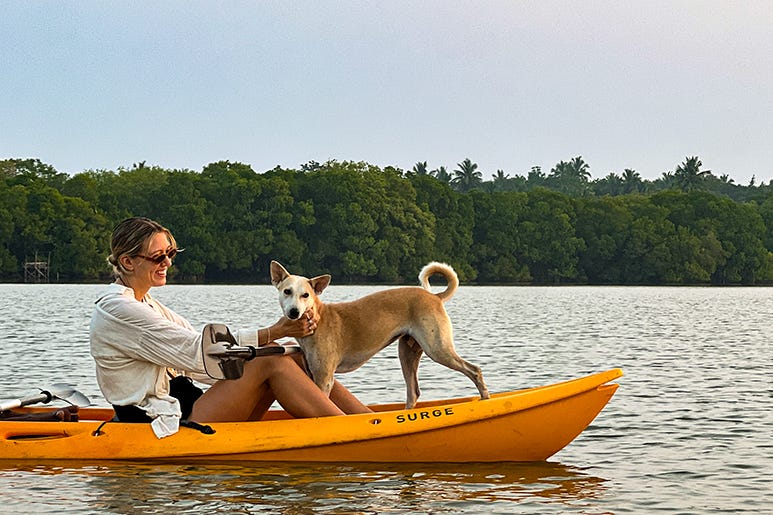 Los 10 mejores lugares para hacer kayak: consejos de expertos