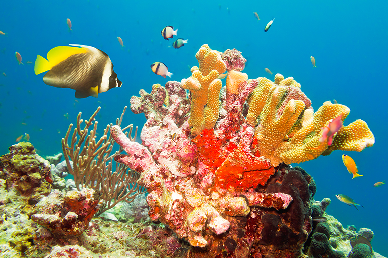 The Best Time To Visit Phuket: A Month-By-Month Guide