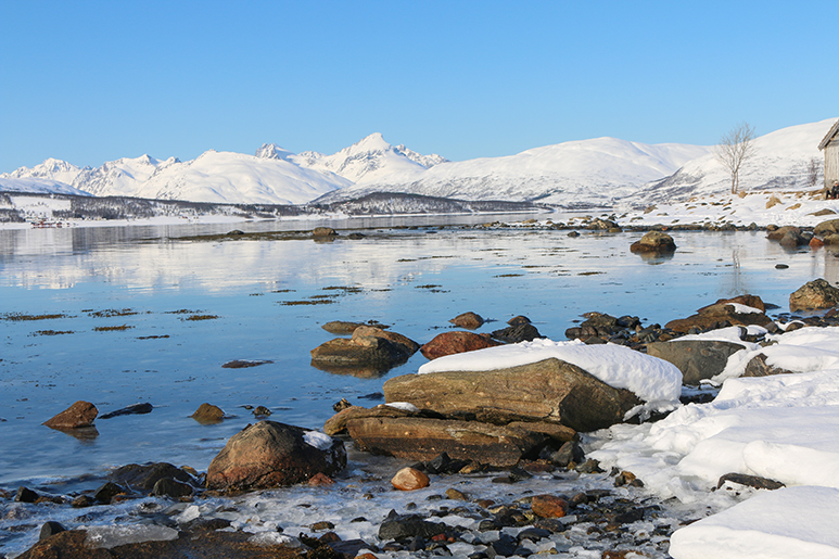 Best Time To Visit Tromsø: A Month-by-Month Guide