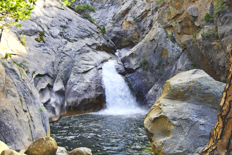 Best Time of Year to Visit Sequoia and Kings Canyon National Park