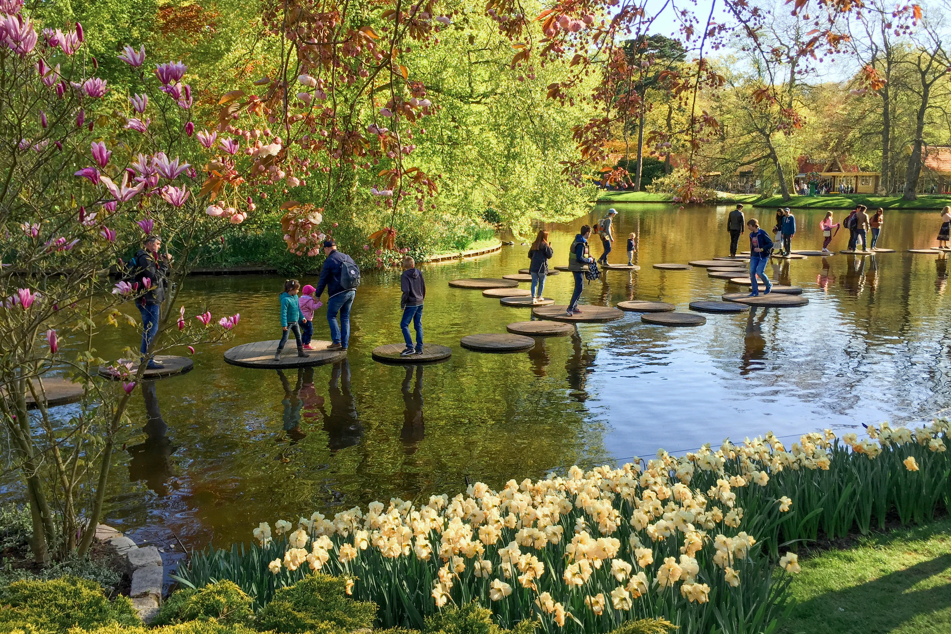 Amsterdam in April: Things To Do in Tulip Season and More