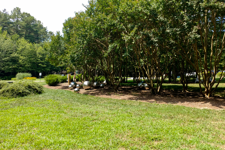 Spring in Maryland: 8 top things to do and see