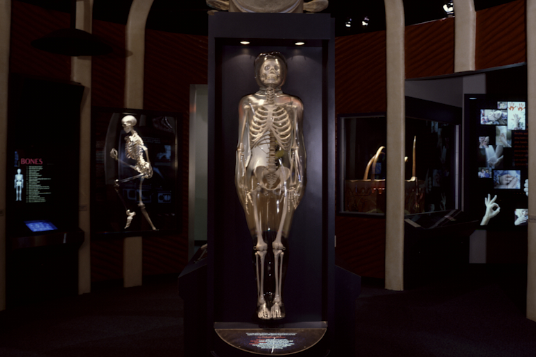 8 Best Museums in Houston Not To Miss