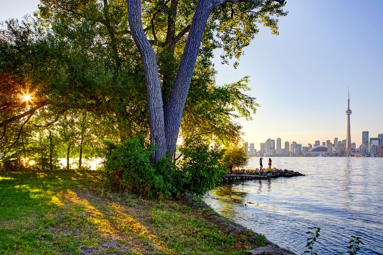 10 Great Ways To Spend a Birthday in Toronto
