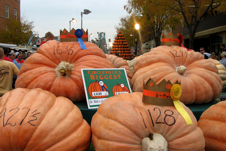 The Best Things To Do in Fall in Ohio