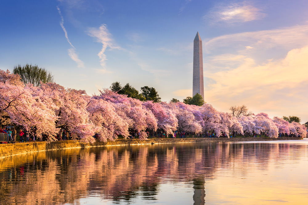 10 Best Things To Do in the US in March Revealed