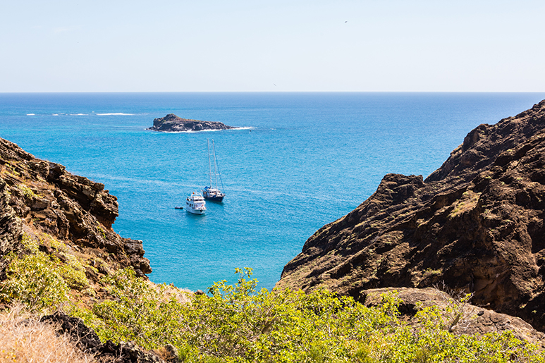 10 Beste eilanden in Galápagos voor bezoekers