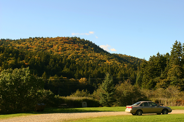 Best Time To Visit Fundy National Park: Your Detailed Guide