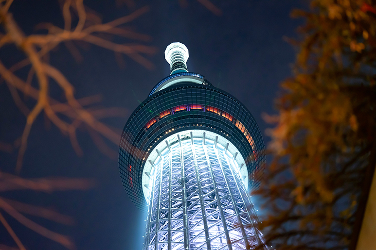 Christmas in Japan: Your Guide To Visiting Tokyo in December