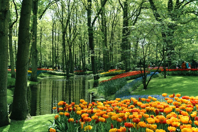 18 most beautiful places in the Netherlands you need to see