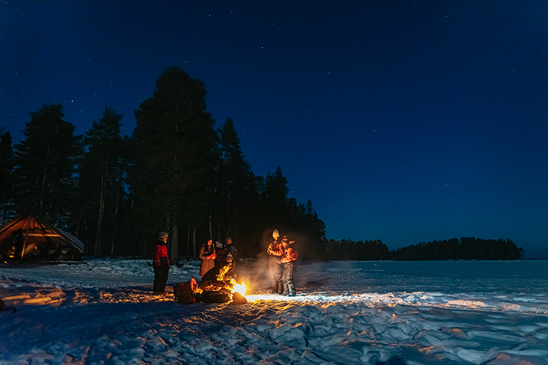 How To See the Northern Lights: An Expert’s Tips