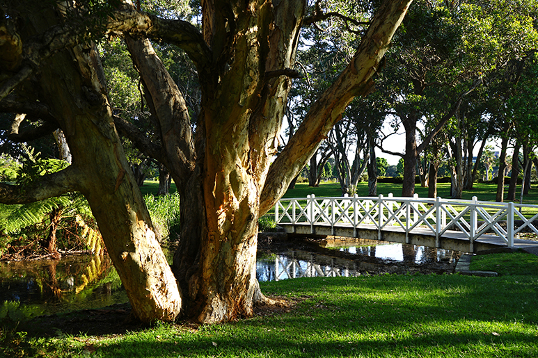 Sydney in Spring: Your Guide to Australia’s Best Season
