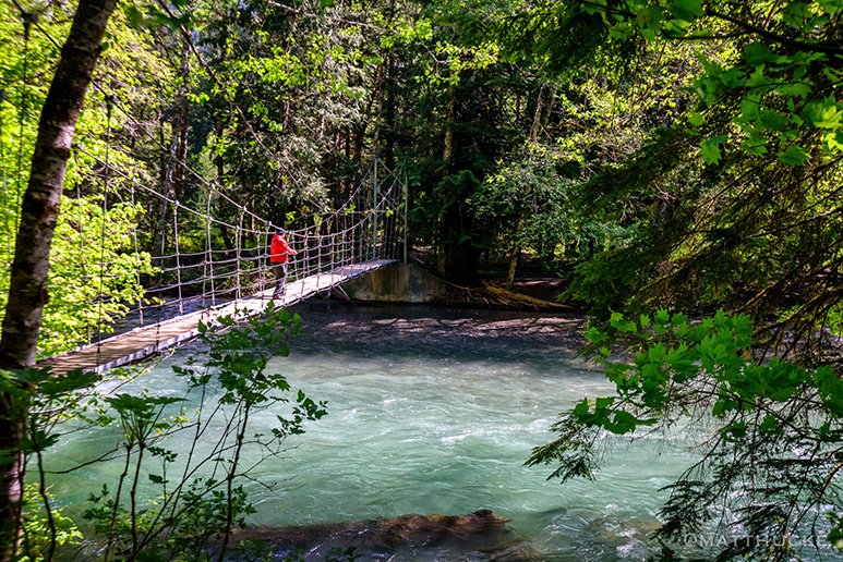 Ghid pentru cel mai bun moment să vizitezi Parcul Național Mount Rainier