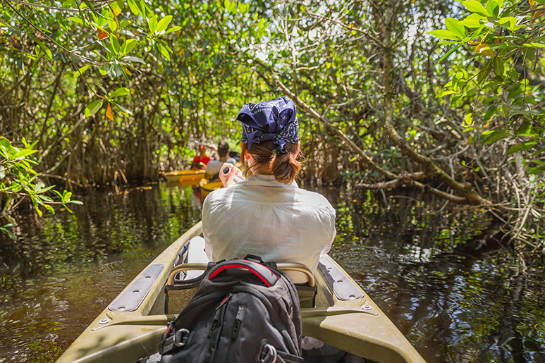 Best Time To Visit Everglades National Park: Detailed Guide