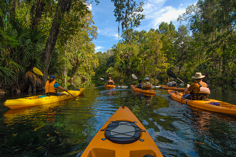 Kayaking in Florida: 8 Stunning Waterways To Paddle Through