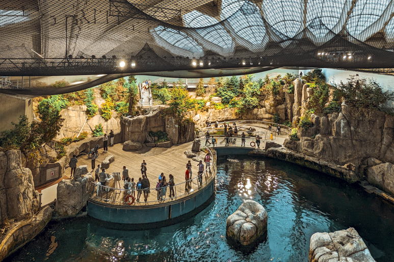 Should You Visit Montreal or Toronto? A Side-By-Side Guide.
