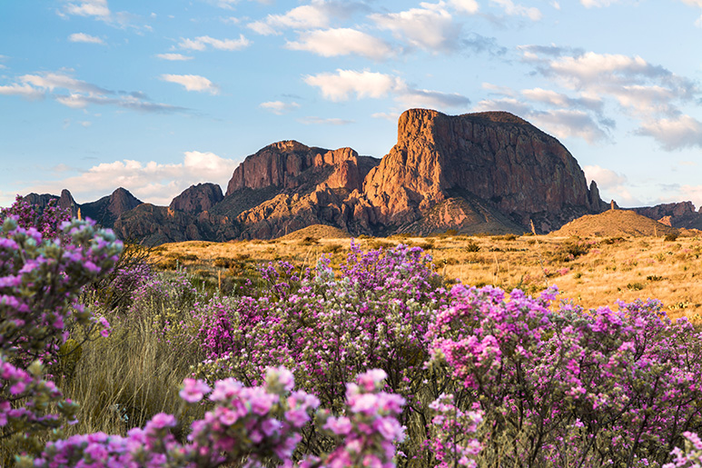 Summer in Texas: What to See and Do