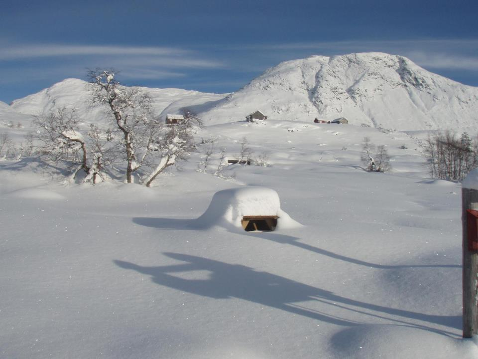 Stryn Piste Map | Plan of ski slopes and lifts | OnTheSnow