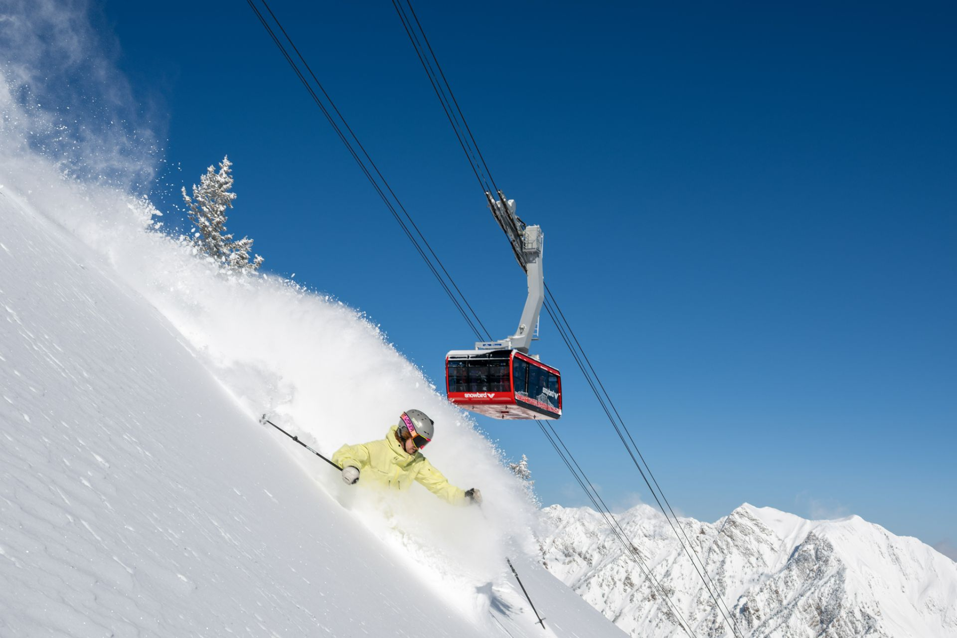 Snowbird Snow History | OnTheSnow