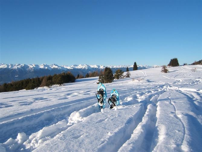 Predaia Pistenplan | Pistenübersicht Predaia | Panoramakarte