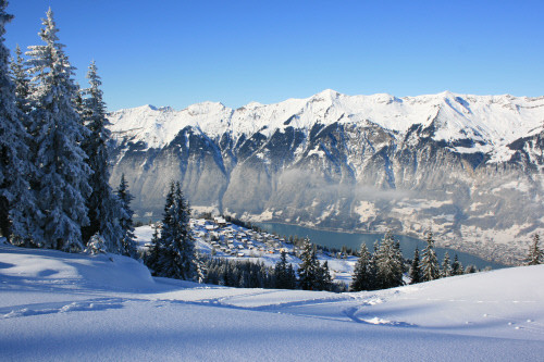 Interlaken Area Snow - Snow forecast and snow conditions